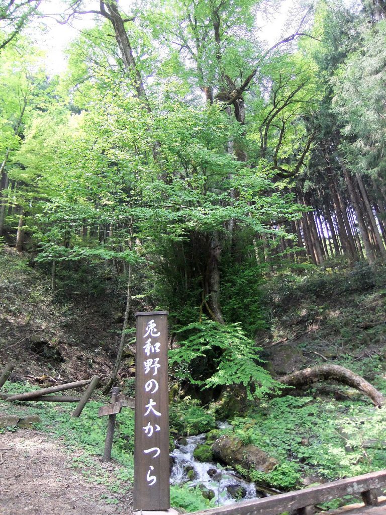 toro_katura | やまもり村岡